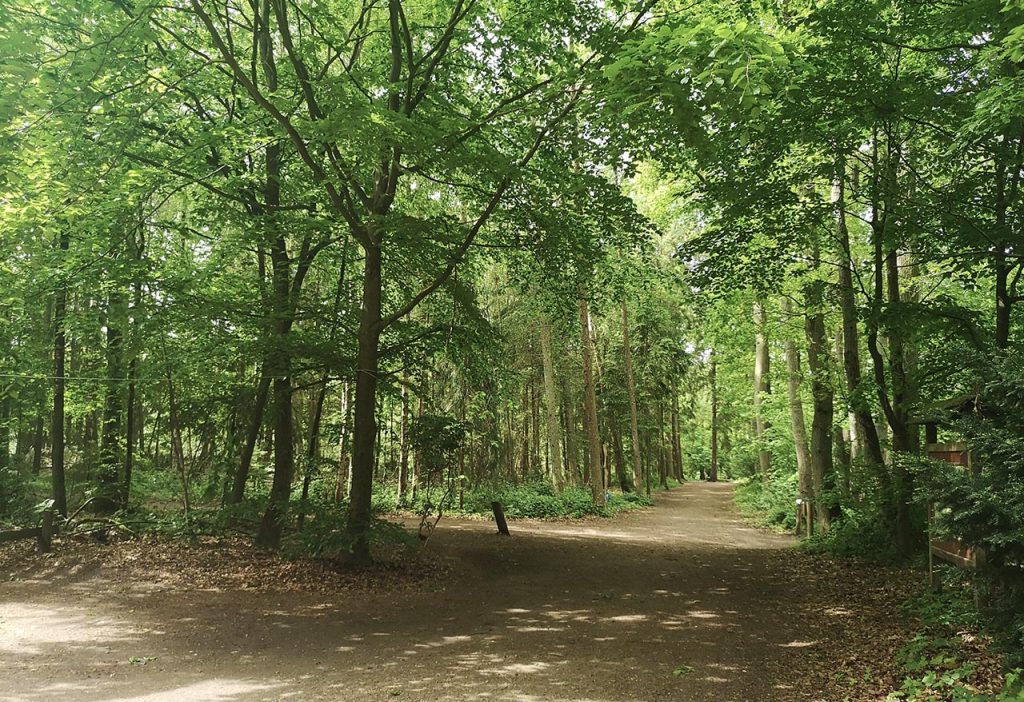 Wildpark Eekholt - Nordtipps