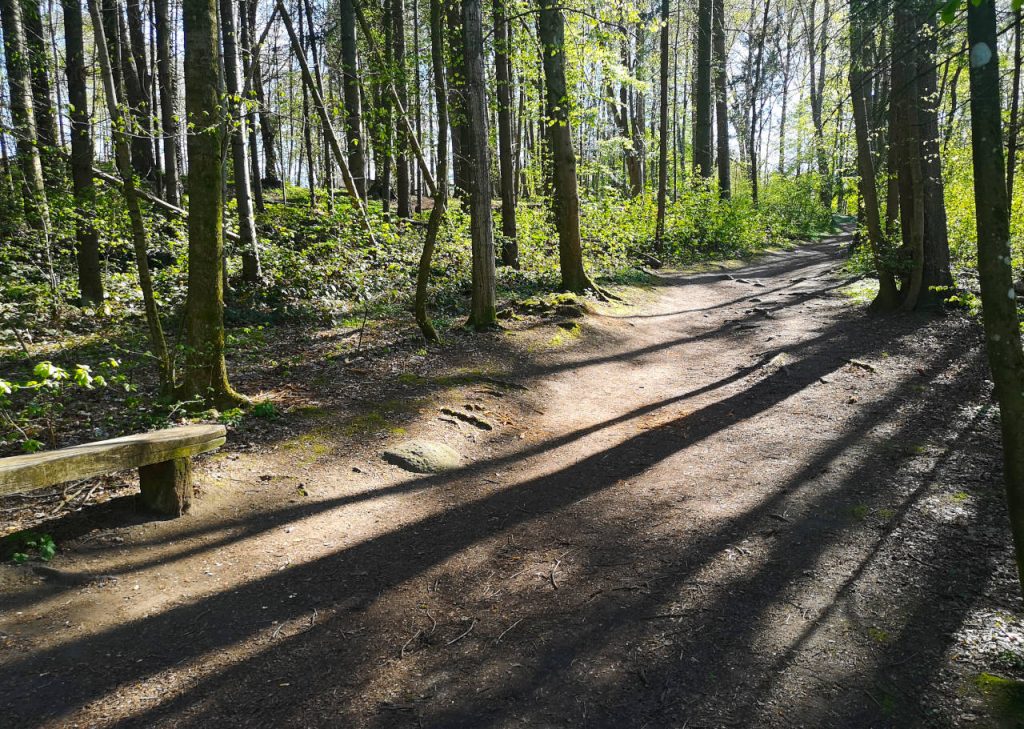 Wildpark Schwentinental - Nordtipps